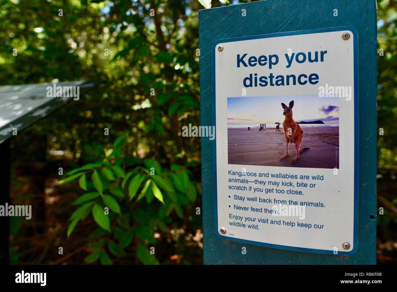 Watch out for kangaroos hi-res stock photography and images - Alamy