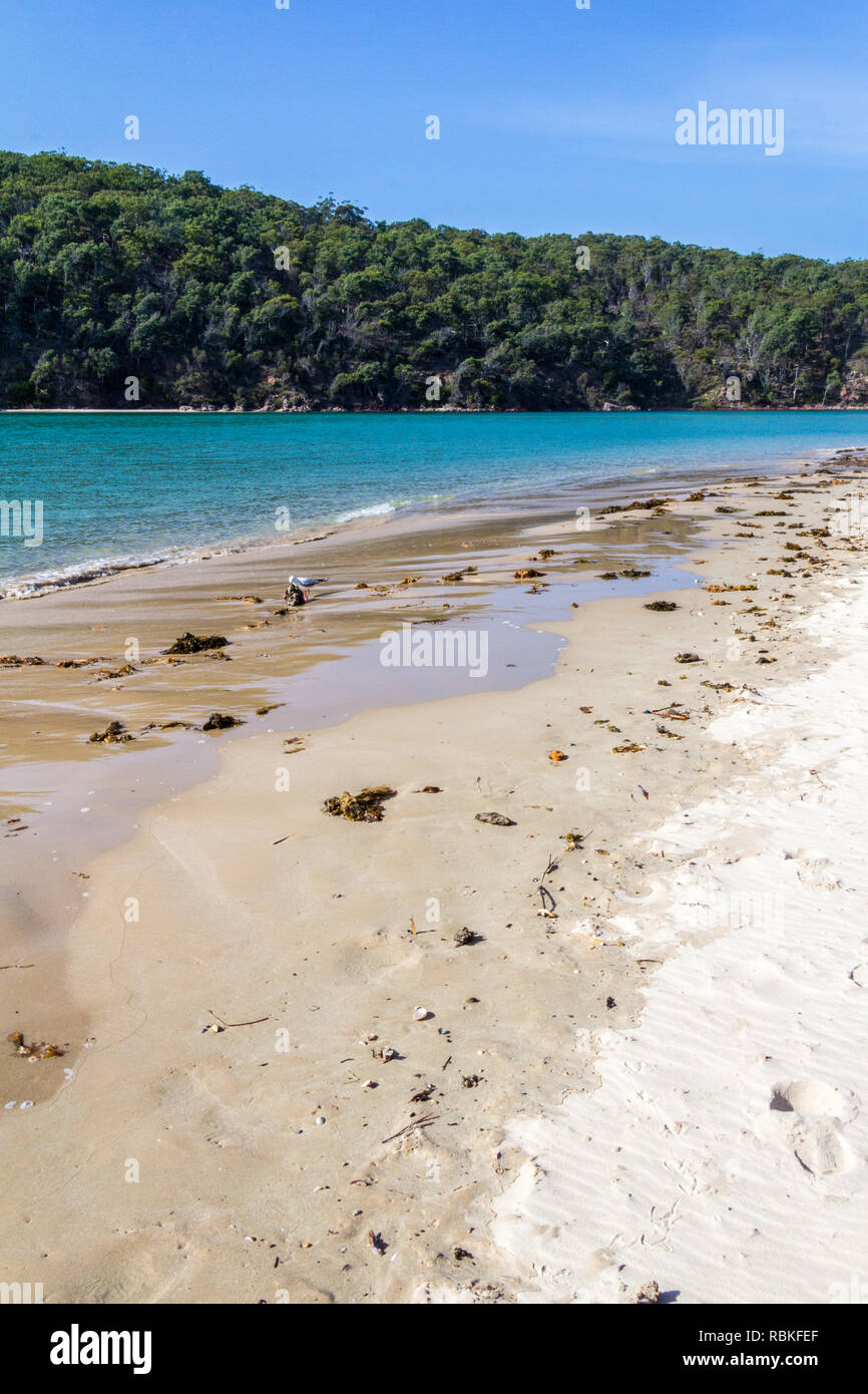 Pambula beach hi-res stock photography and images - Alamy