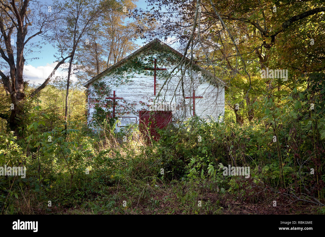 A wood frame abandoned country church in an overgrown woods Stock Photo ...