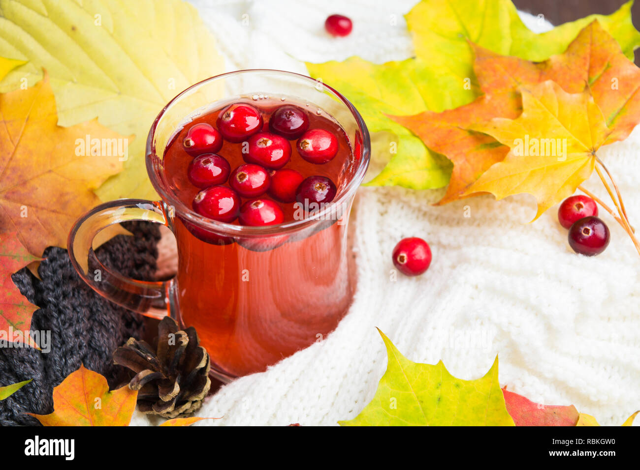 Autumn hot beverage of red cranberries Stock Photo - Alamy