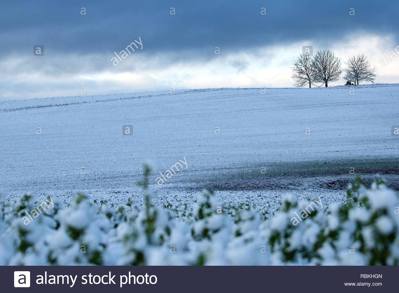 Breathtaking environment hi-res stock photography and images - Alamy