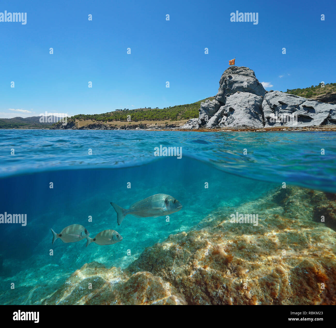 Spain coastline with a rocky islet and sea breams fish underwater near ...