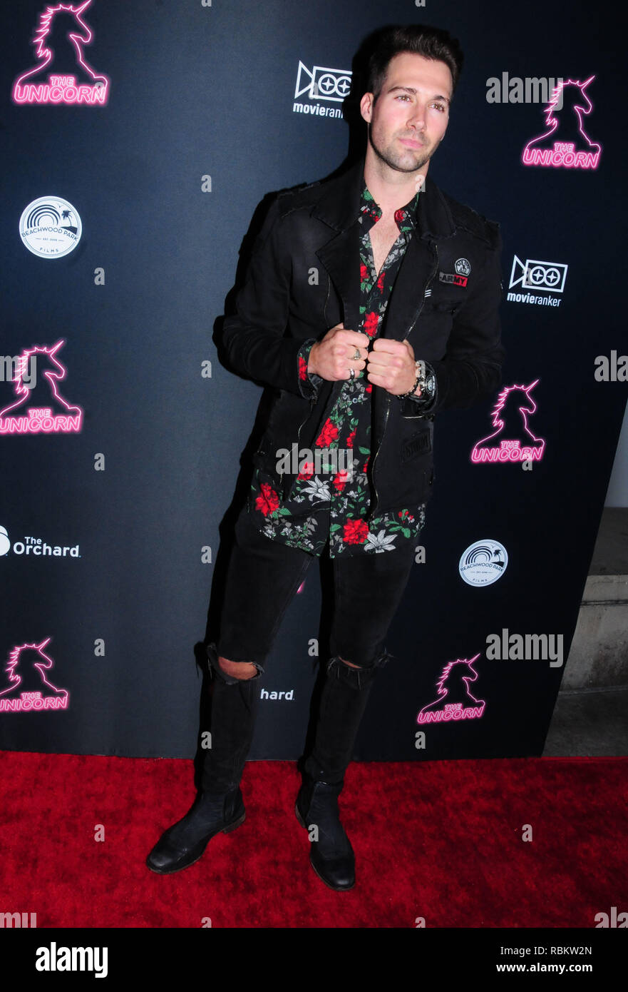 Los Angeles, California, USA. 10th January, 2019. Actor/singer James ...