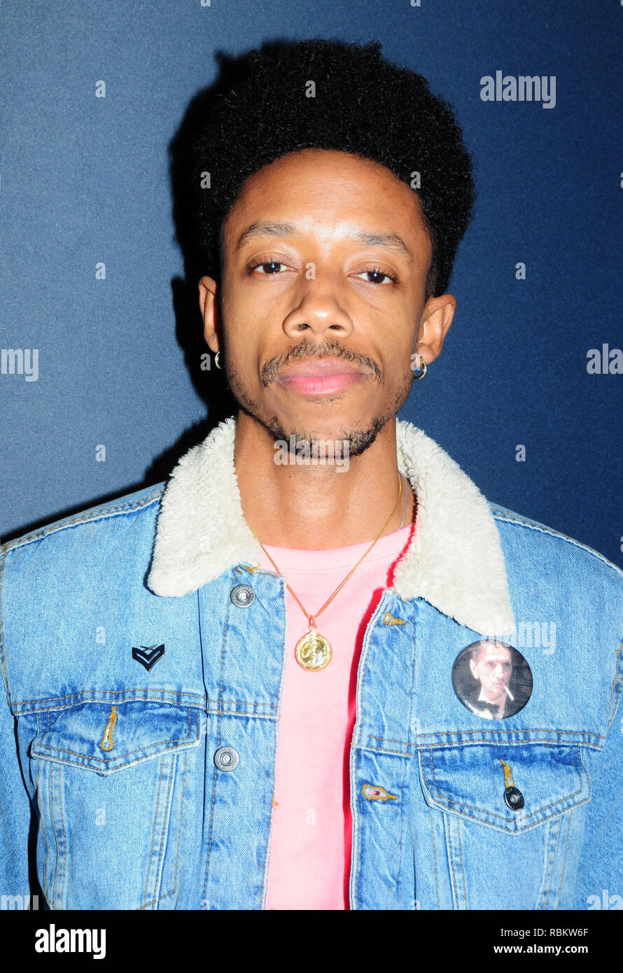 Los Angeles, California, USA. 10th January, 2019. Actor Darrell Britt ...