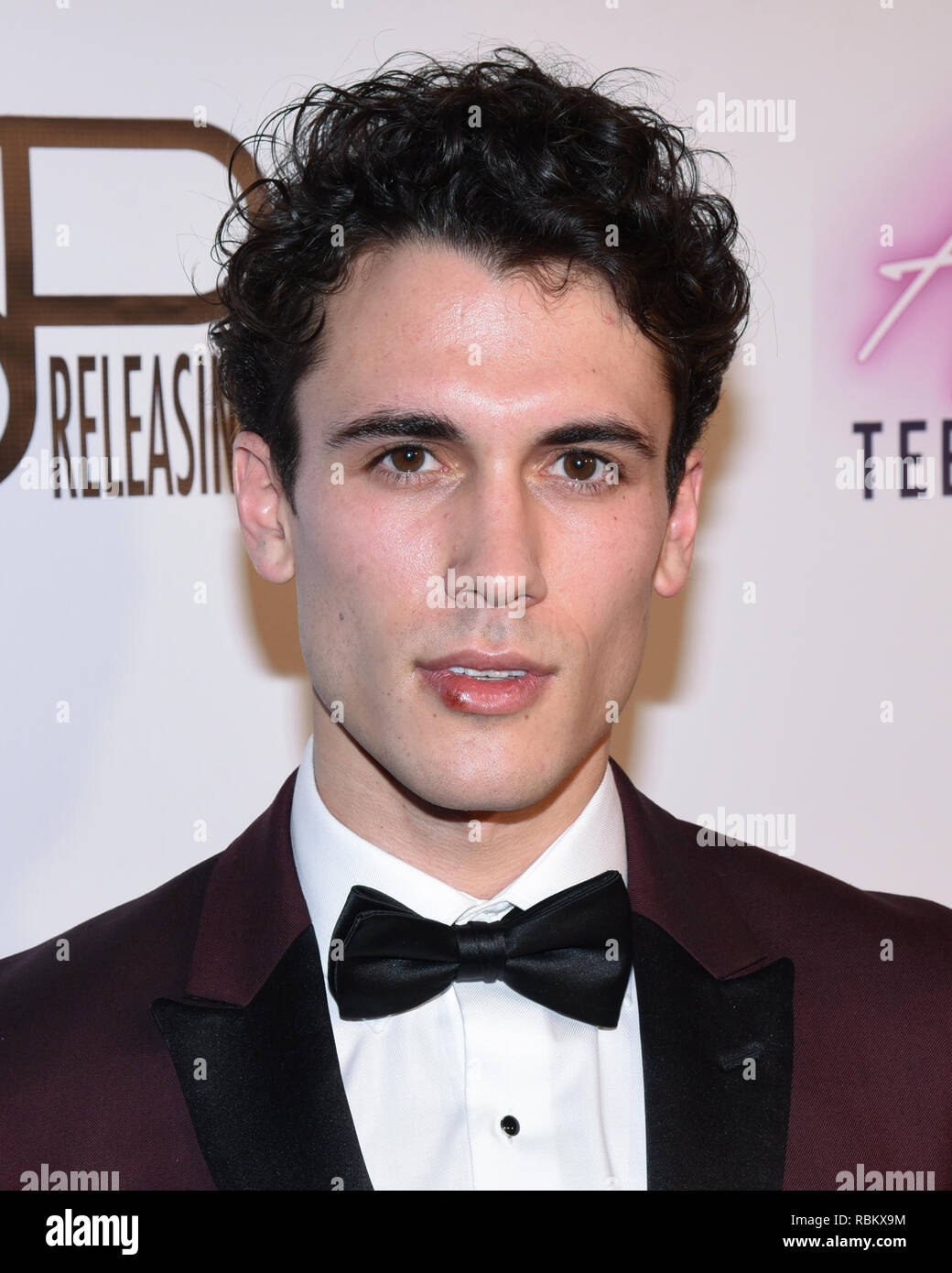 Hollywood, California, USA. 10th Jan, 2019. Sebastian Greaves attends ...