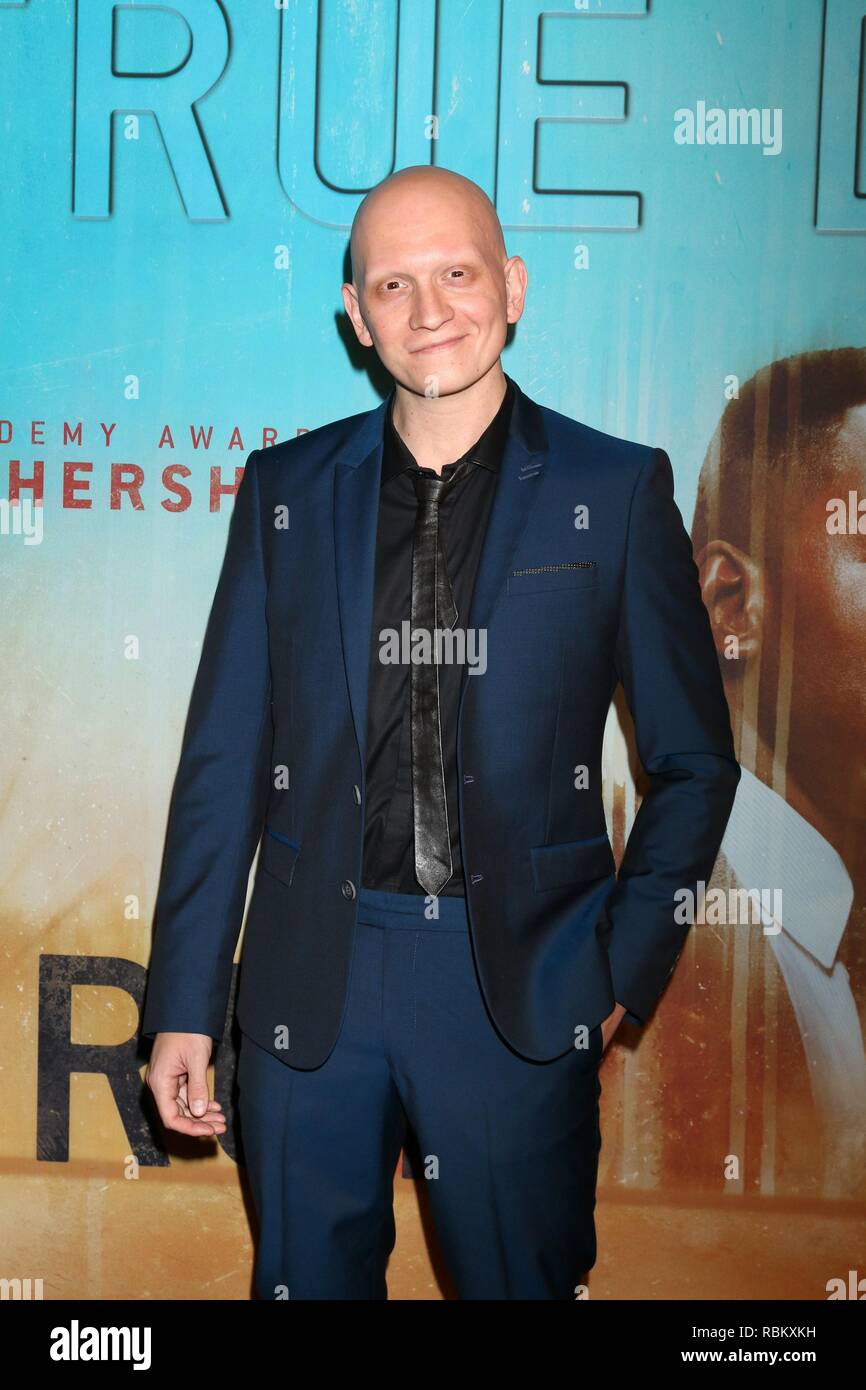 Anthony Carrigan at arrivals for TRUE DETECTIVE Season Three Premiere ...