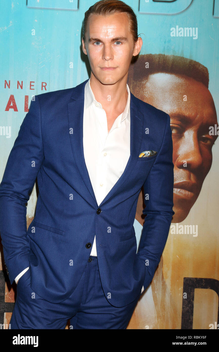 Los Angeles, CA, USA. 10th Jan, 2019. LOS ANGELES - JAN 10: Rhys ...