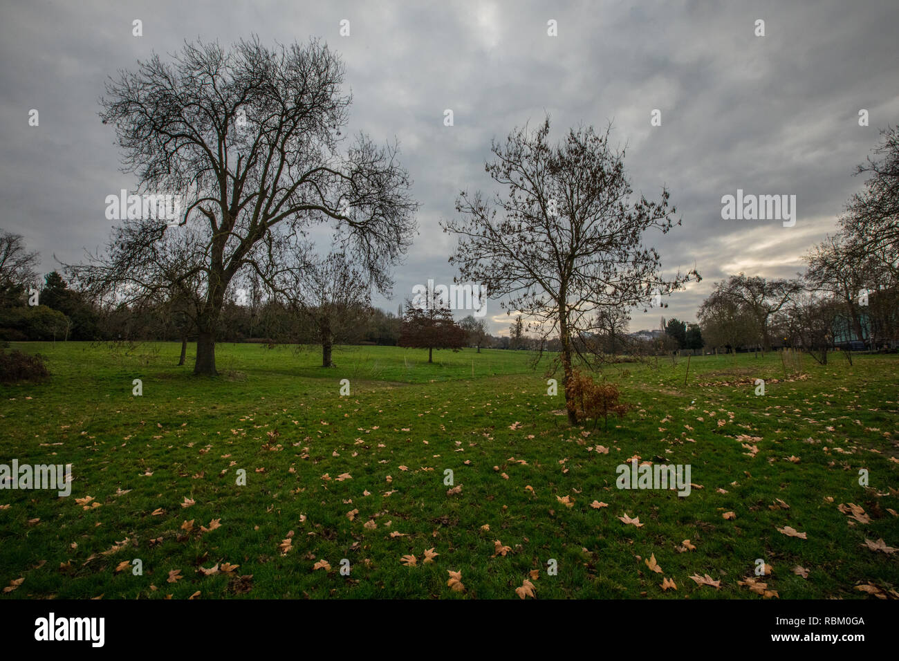 The great space hi-res stock photography and images - Alamy