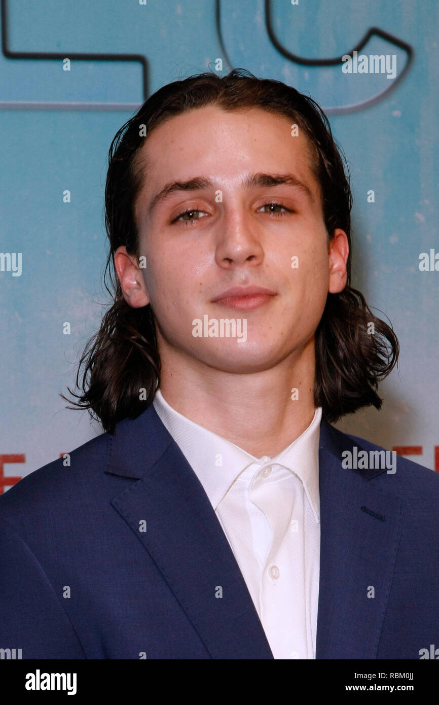 Los Angeles, CA, USA. 10th Jan, 2019. Ray Meehan attends the HBO ...