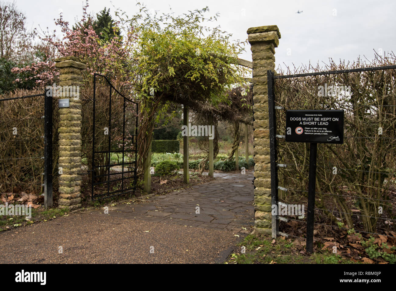 Peckham Rye Park, London, UK. 11th Jan, 2019. ' Dogs must be kept on a ...