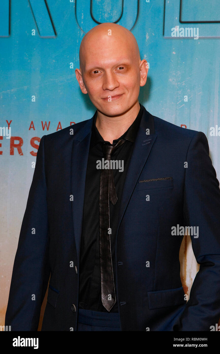 Los Angeles, CA, USA. 10th Jan, 2019. Anthony Carrigan attends the HBO ...
