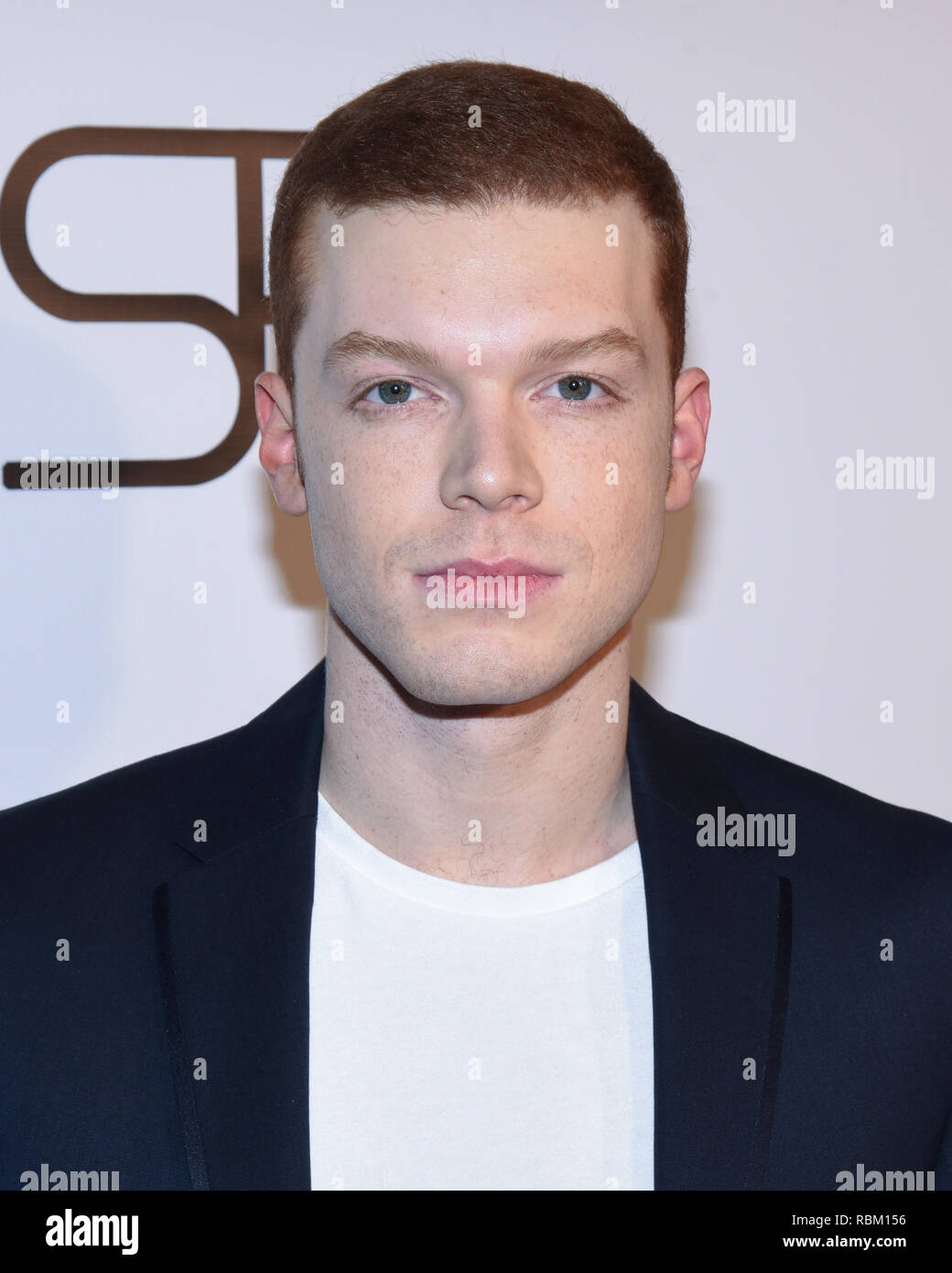 Hollywood, California, USA. 10th Jan, 2019. Cameron Monaghan attends ...