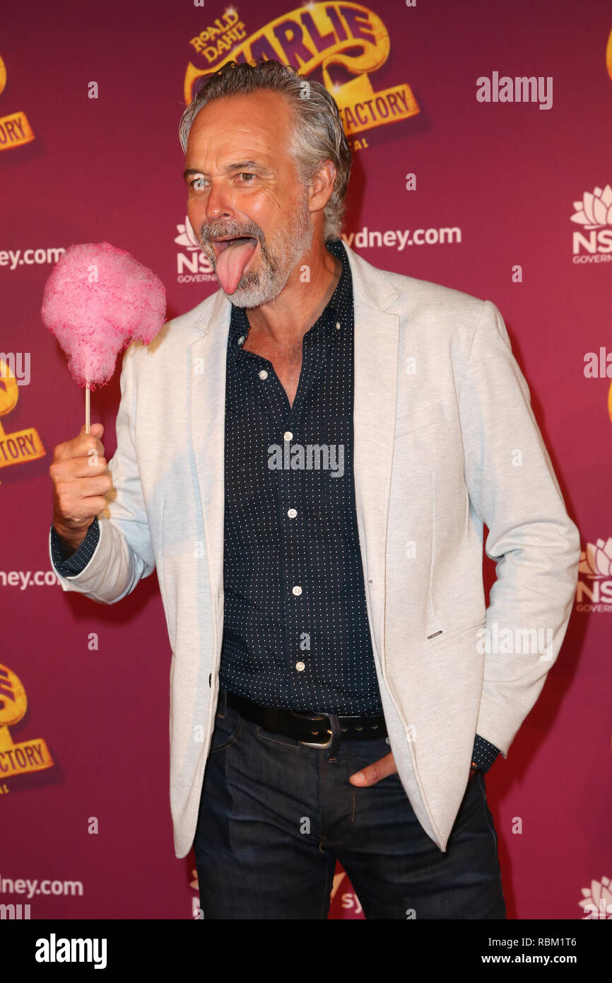 Sydney, Australia. January 11, 2019 - Cameron Daddo attends opening ...