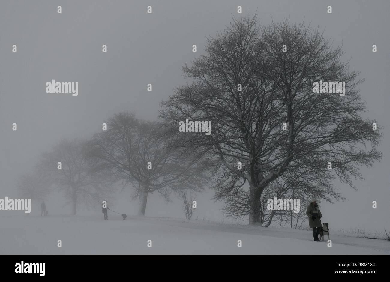 Clausthal, Germany. 11th Jan, 2019. Winter in the Harz mountains ...