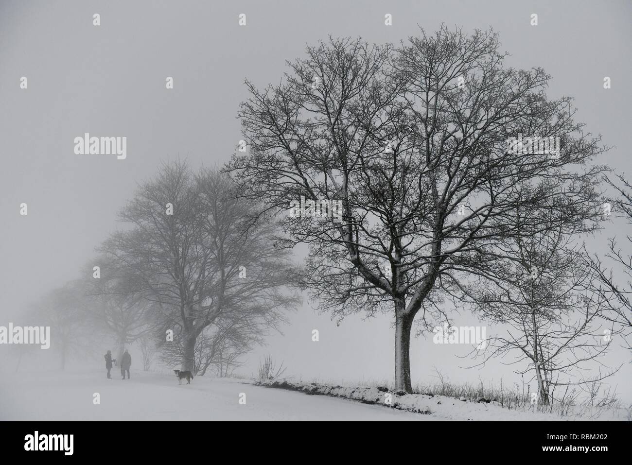 Clausthal, Germany. 11th Jan, 2019. Winter in the Harz mountains ...