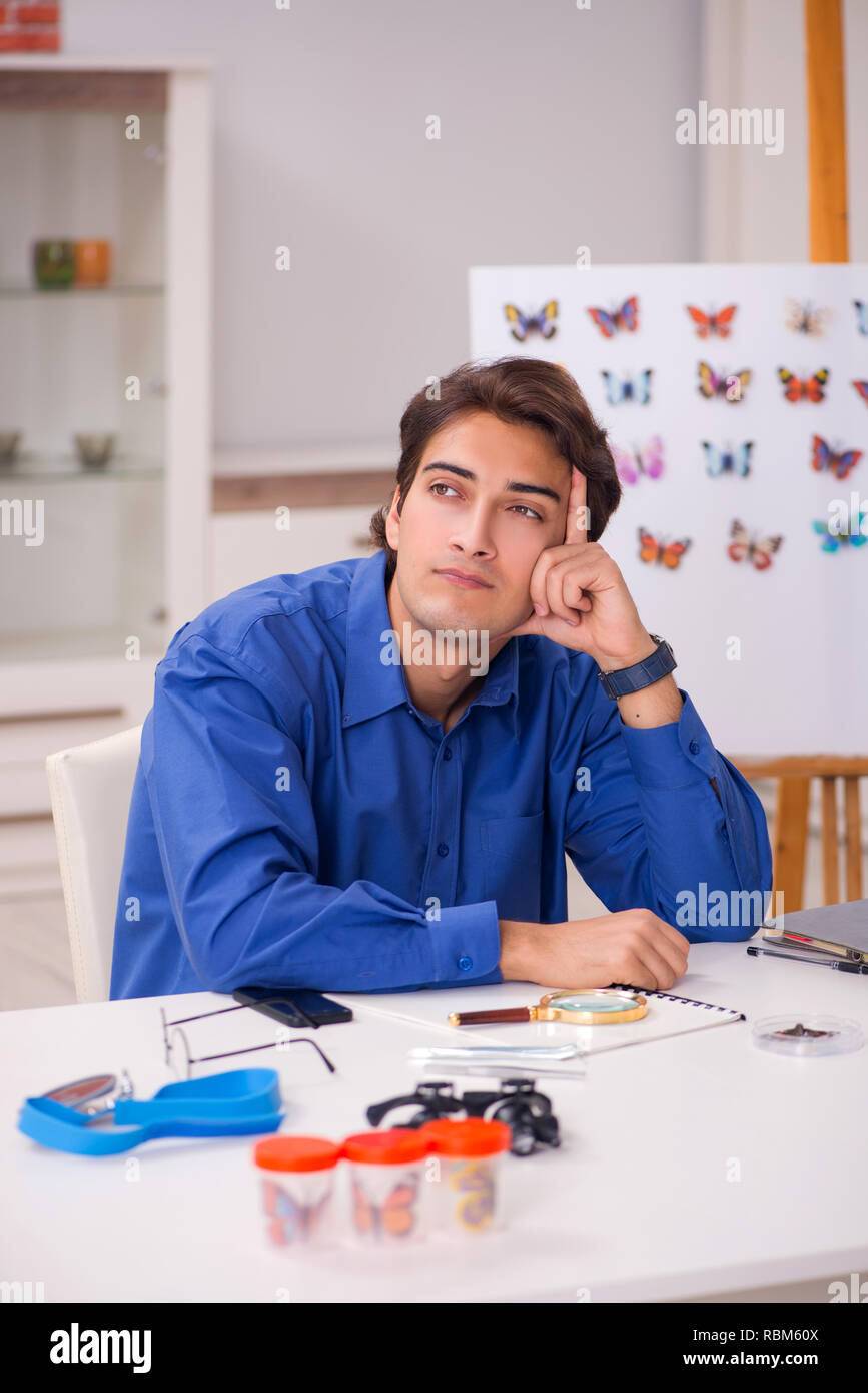 Student entomologist studying new species of butterflies Stock Photo ...