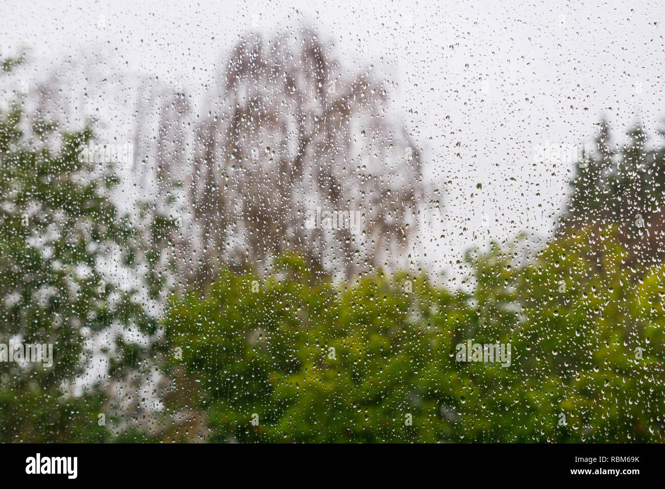 Level of the window hi-res stock photography and images - Alamy