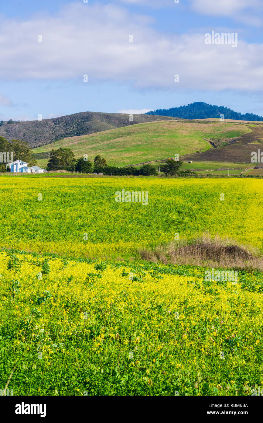 Half moon farm house hi-res stock photography and images - Alamy