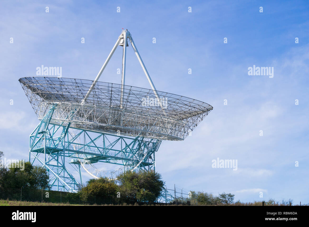 Stanford special hi-res stock photography and images - Alamy