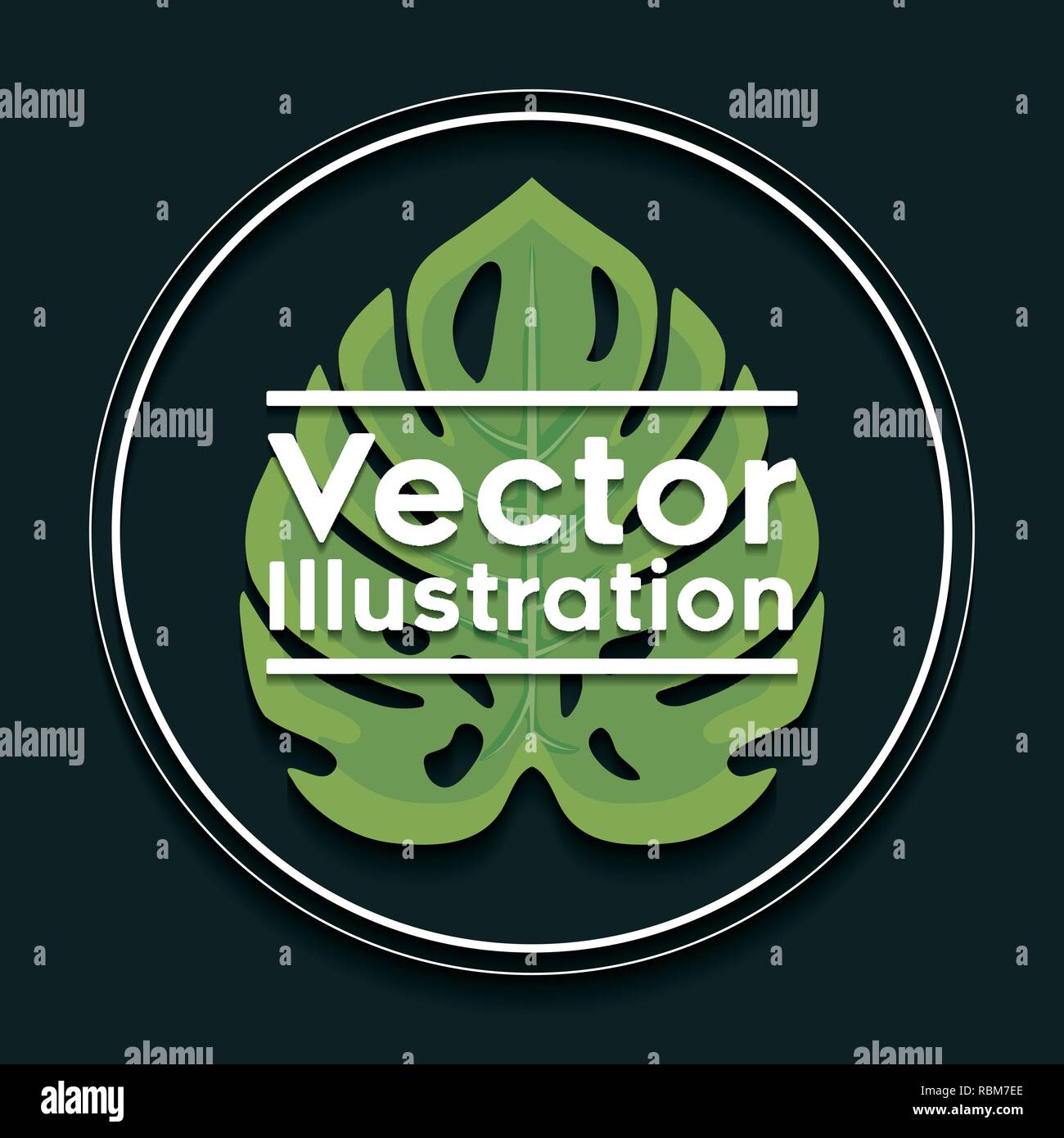 leaf plant decorative frame vector illustration design Stock Vector ...