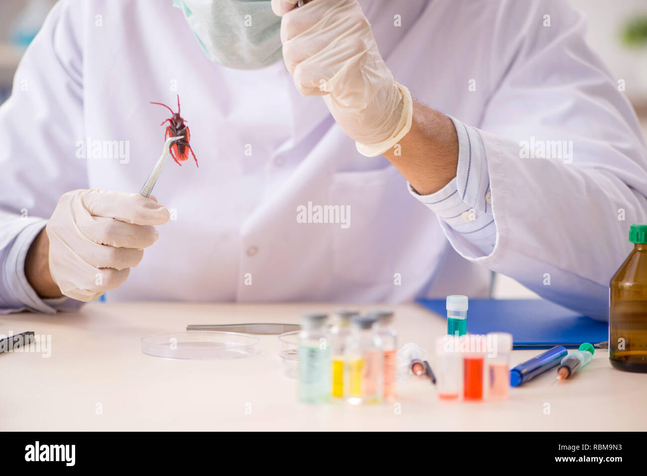 Male entomologist working in the lab on new species Stock Photo - Alamy