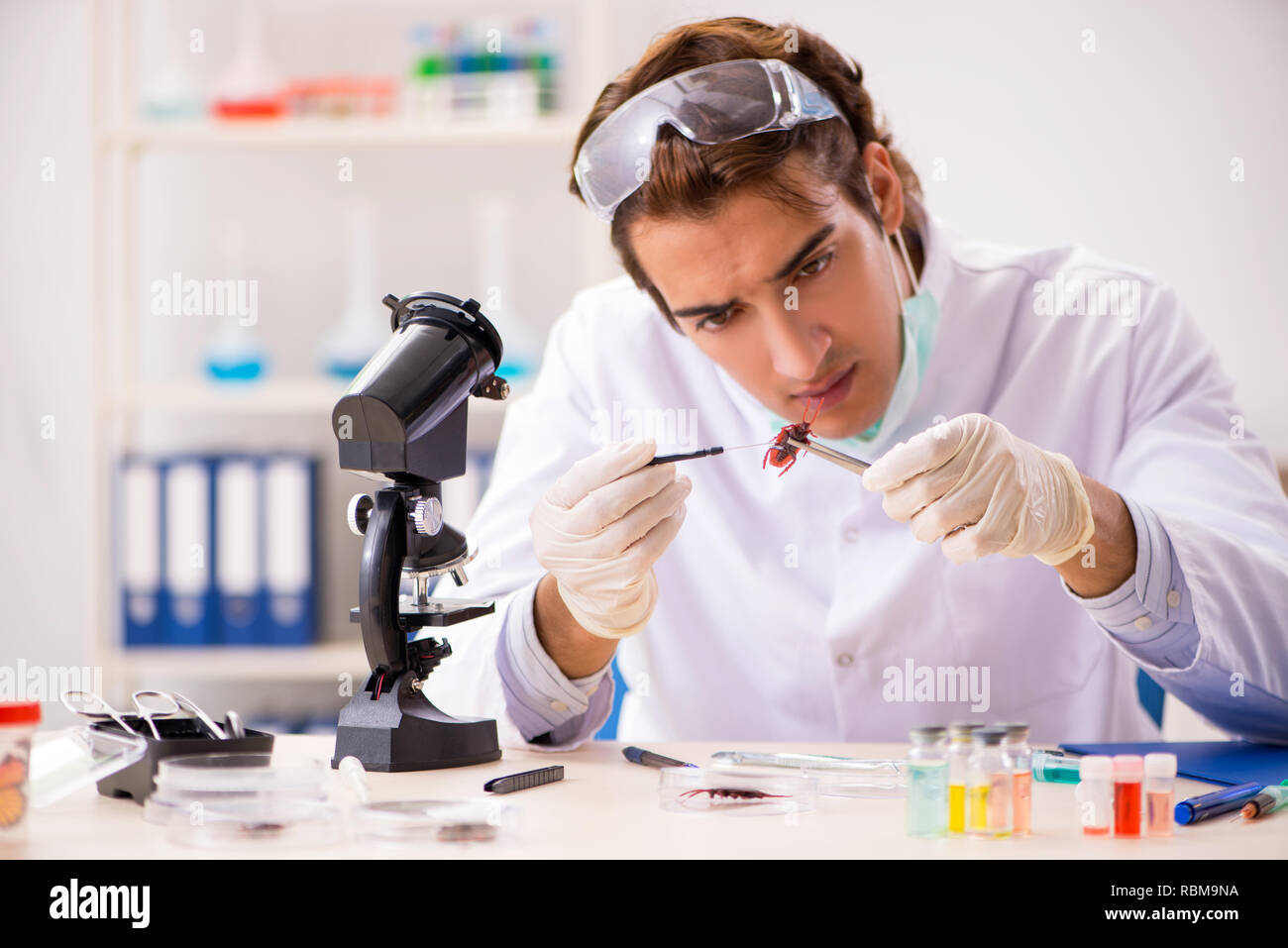 Male entomologist working in the lab on new species Stock Photo - Alamy