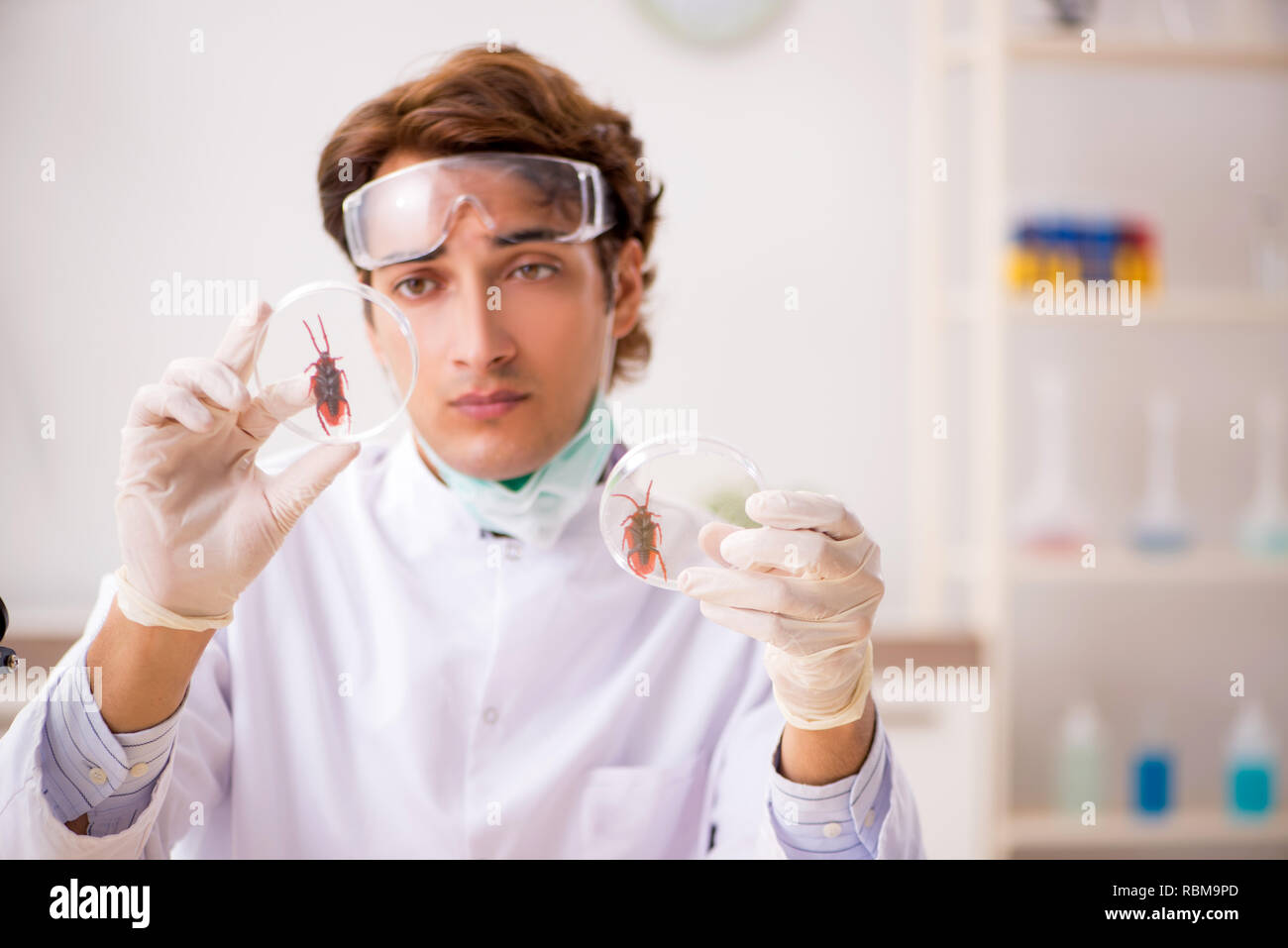 Male entomologist working in the lab on new species Stock Photo - Alamy