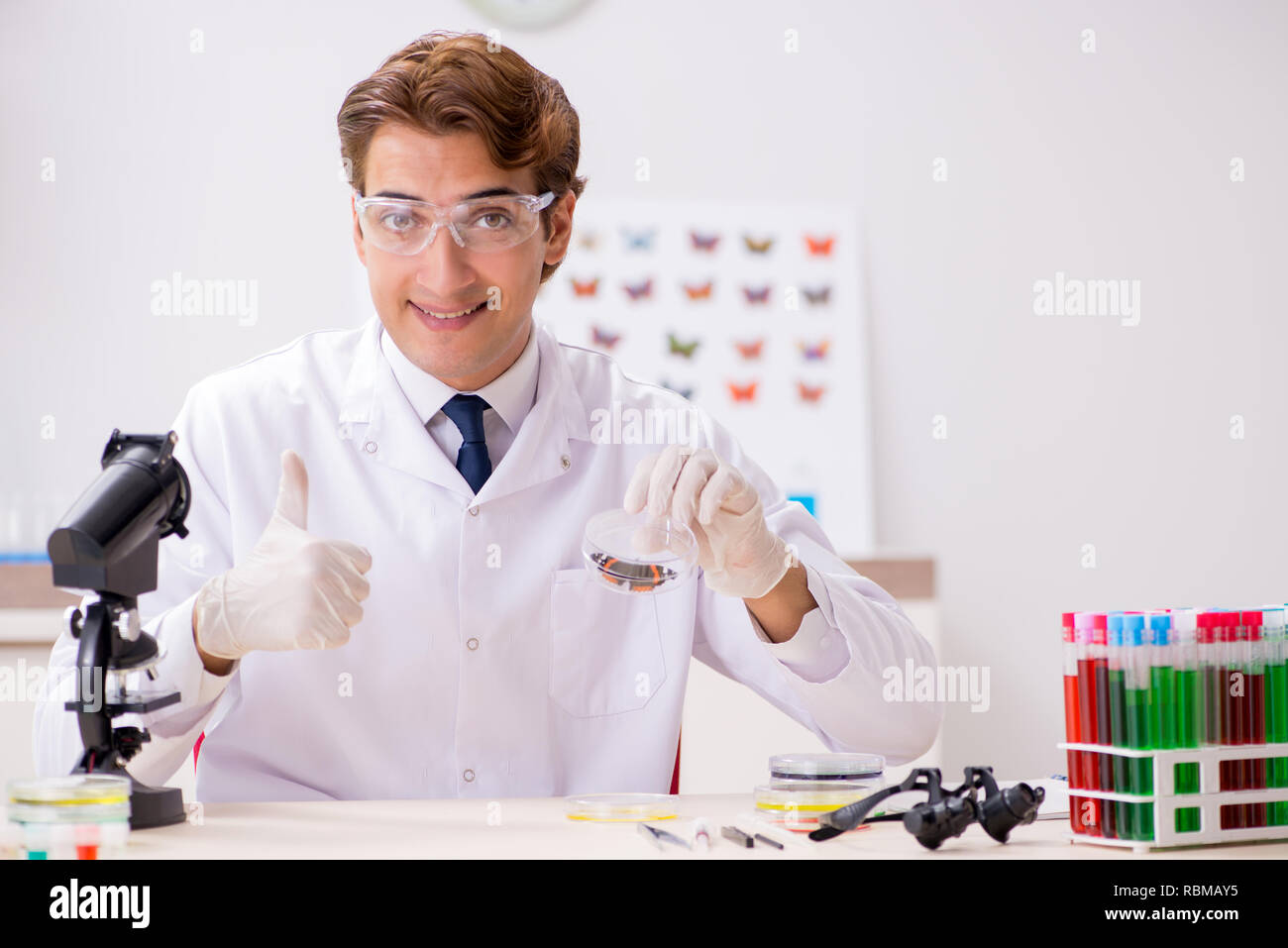 Scientist entomologist studying new butterfly species Stock Photo - Alamy
