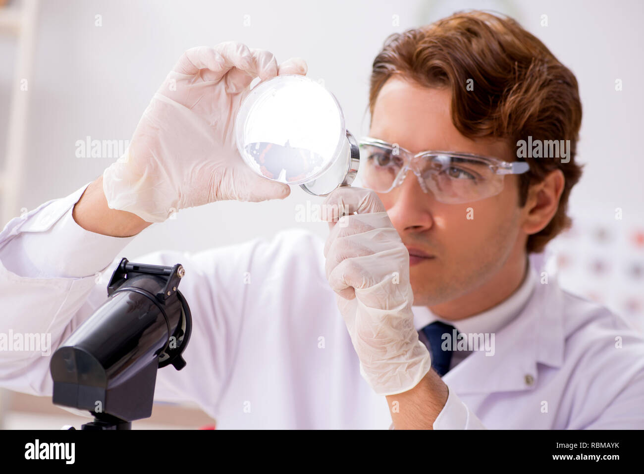 Scientist entomologist studying new butterfly species Stock Photo - Alamy