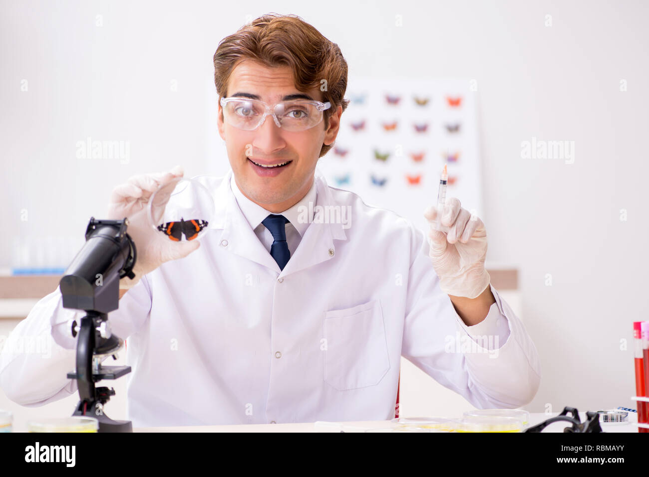 Scientist entomologist studying new butterfly species Stock Photo - Alamy