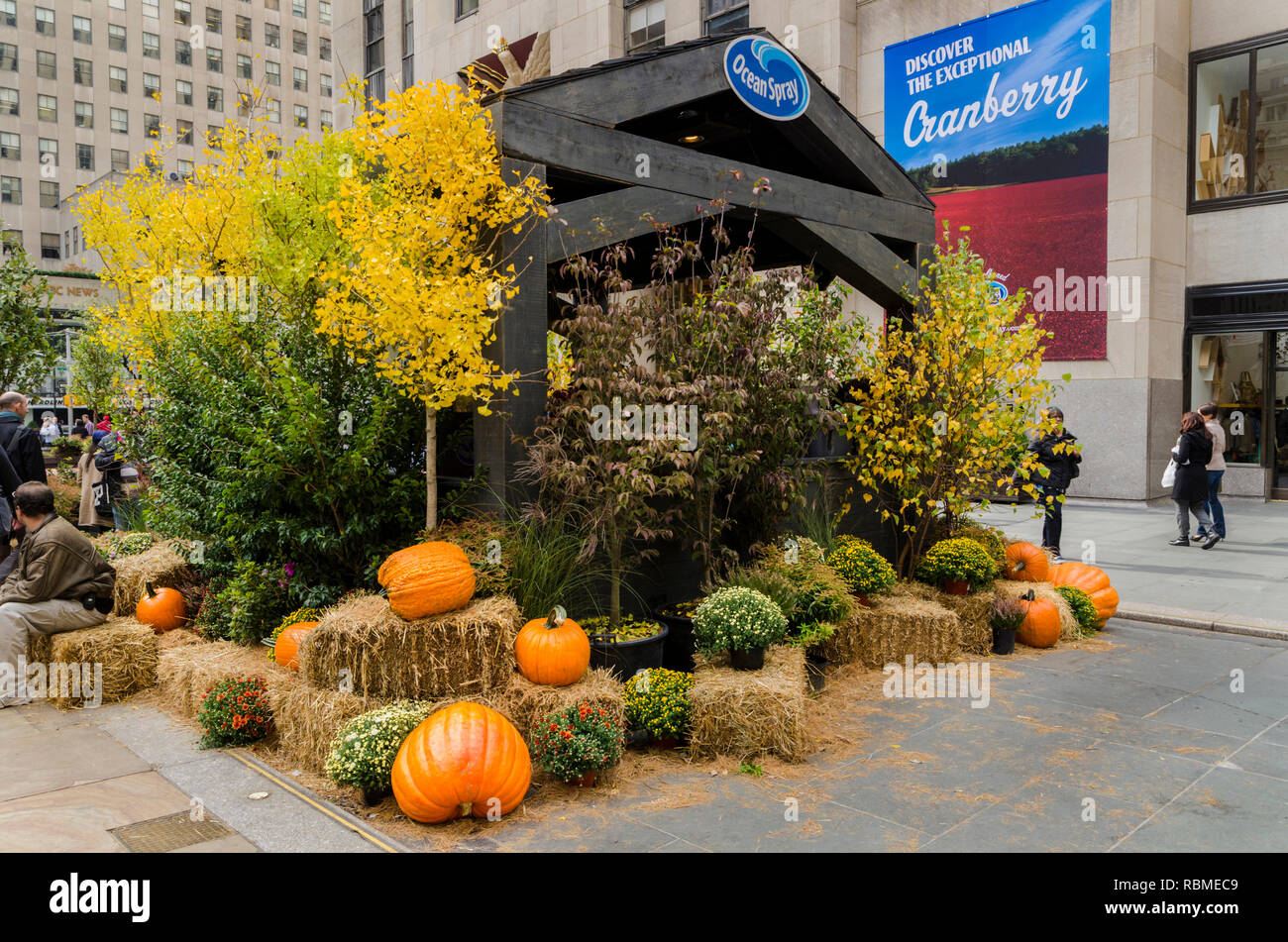 Pumpkin display and sale at Rockefeller Center Building, New York, USA ...