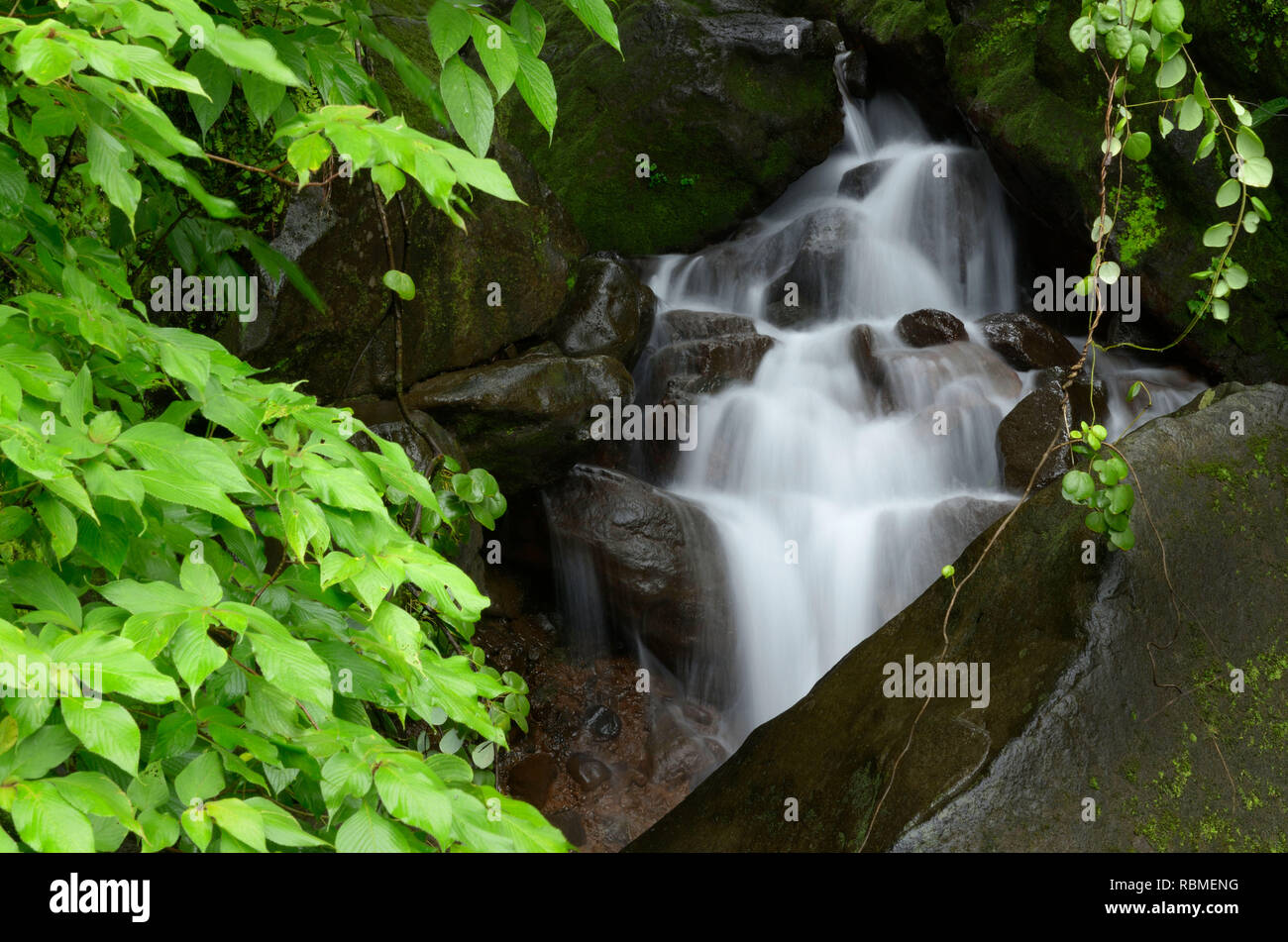 Tamhini Ghat waterfall, Tamhini Ghat, Mulshi, Tamhini, Western Ghat ...