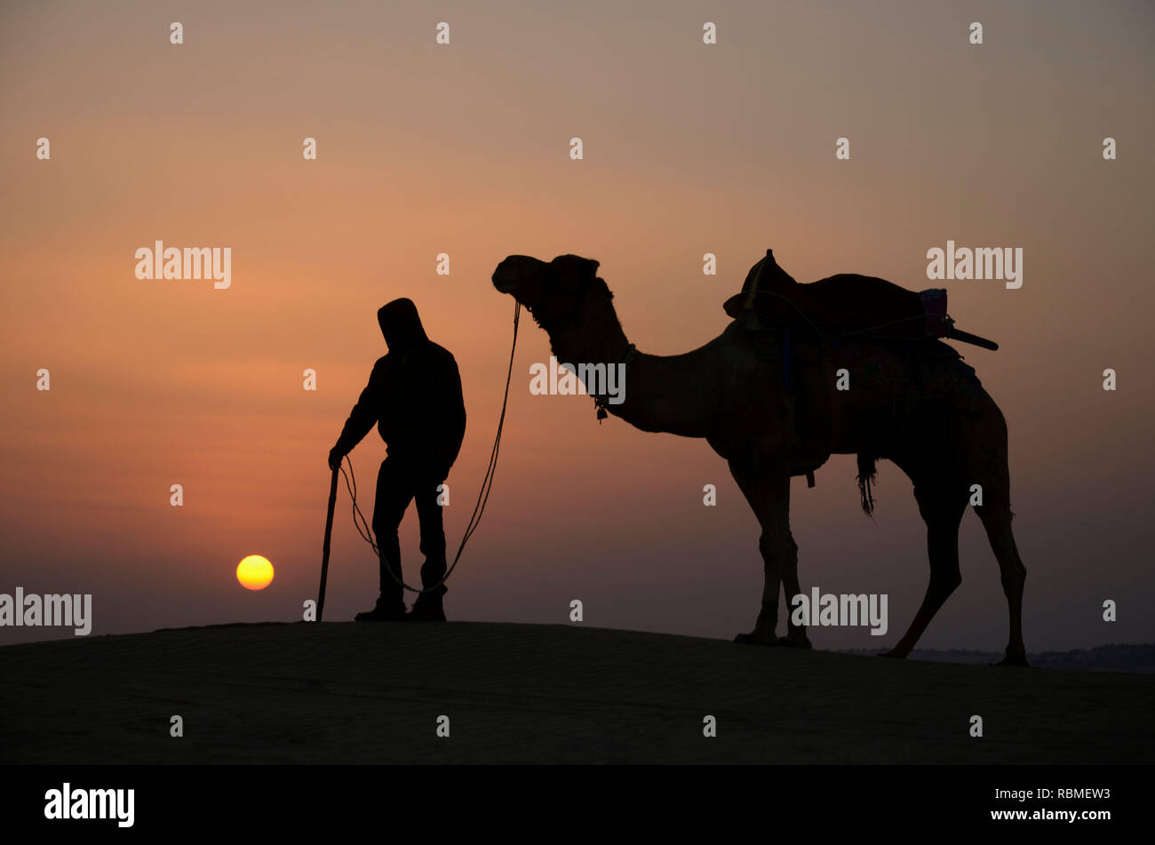 Camel and keeper in sam desert, Jaisalmer, Rajasthan, India, Asia Stock ...