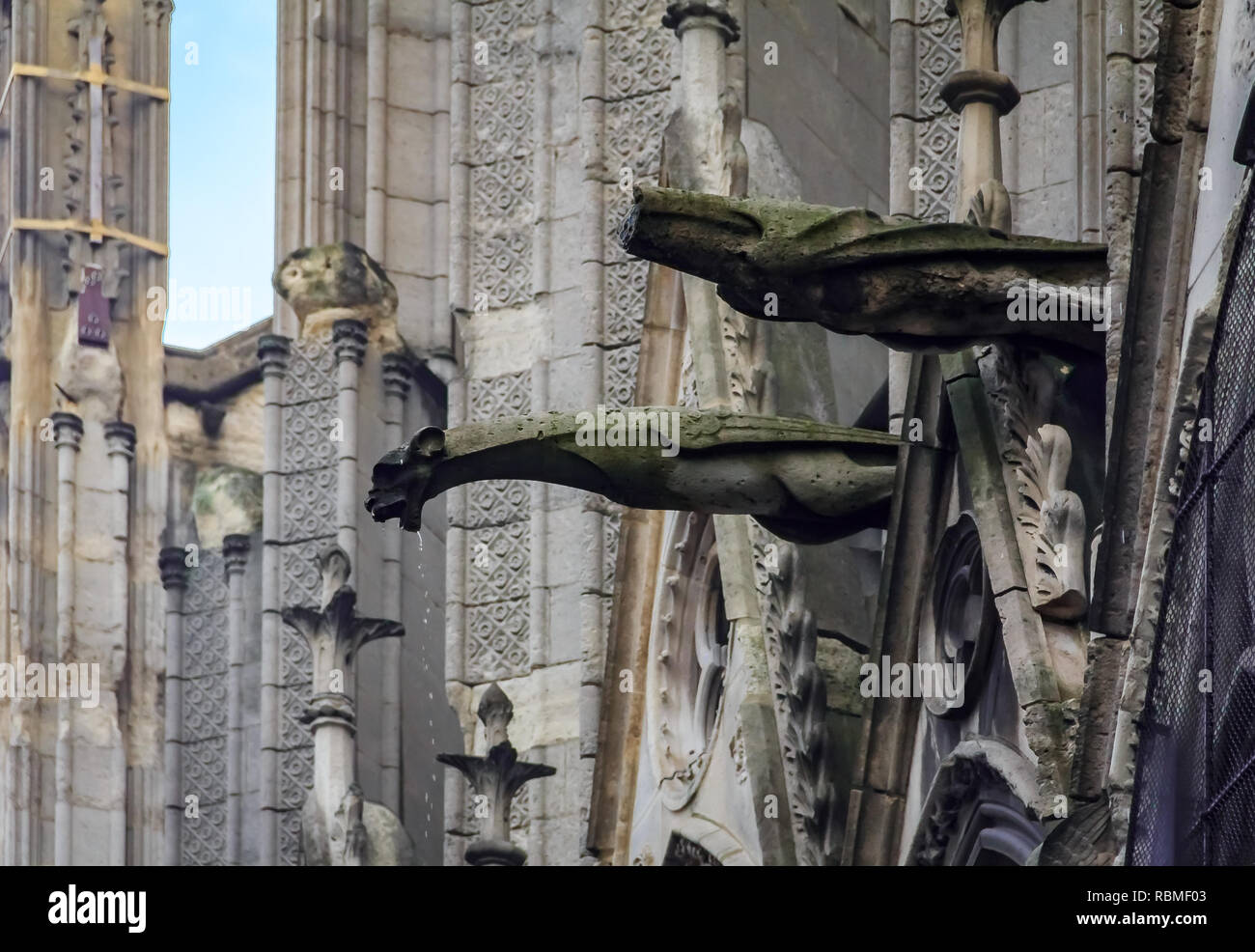 Gothic gargoyles covered in moss on the facade of the famous Notre Dame ...