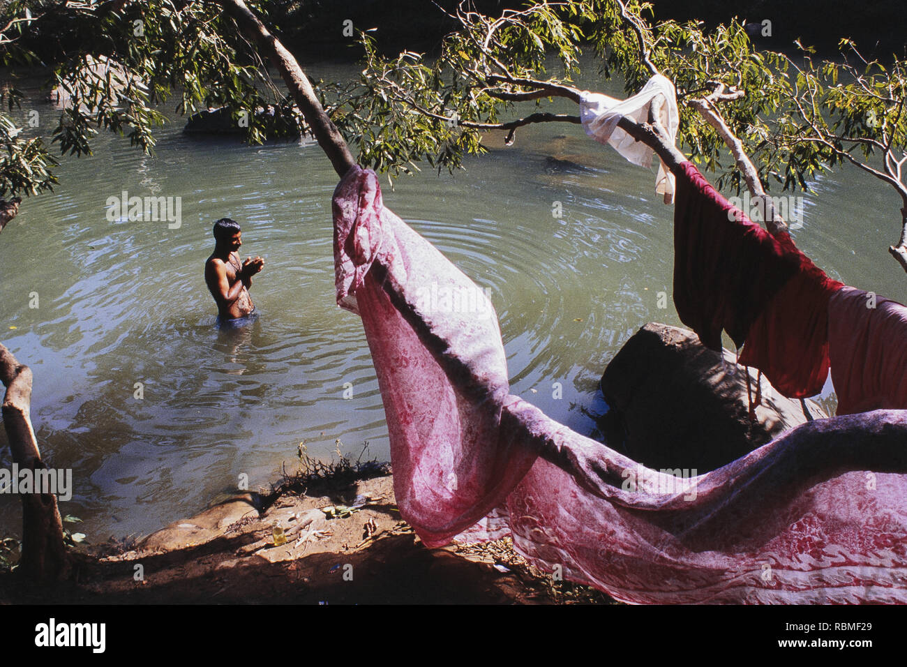 Man praying while bathing in river, sari drying at riverside, India ...