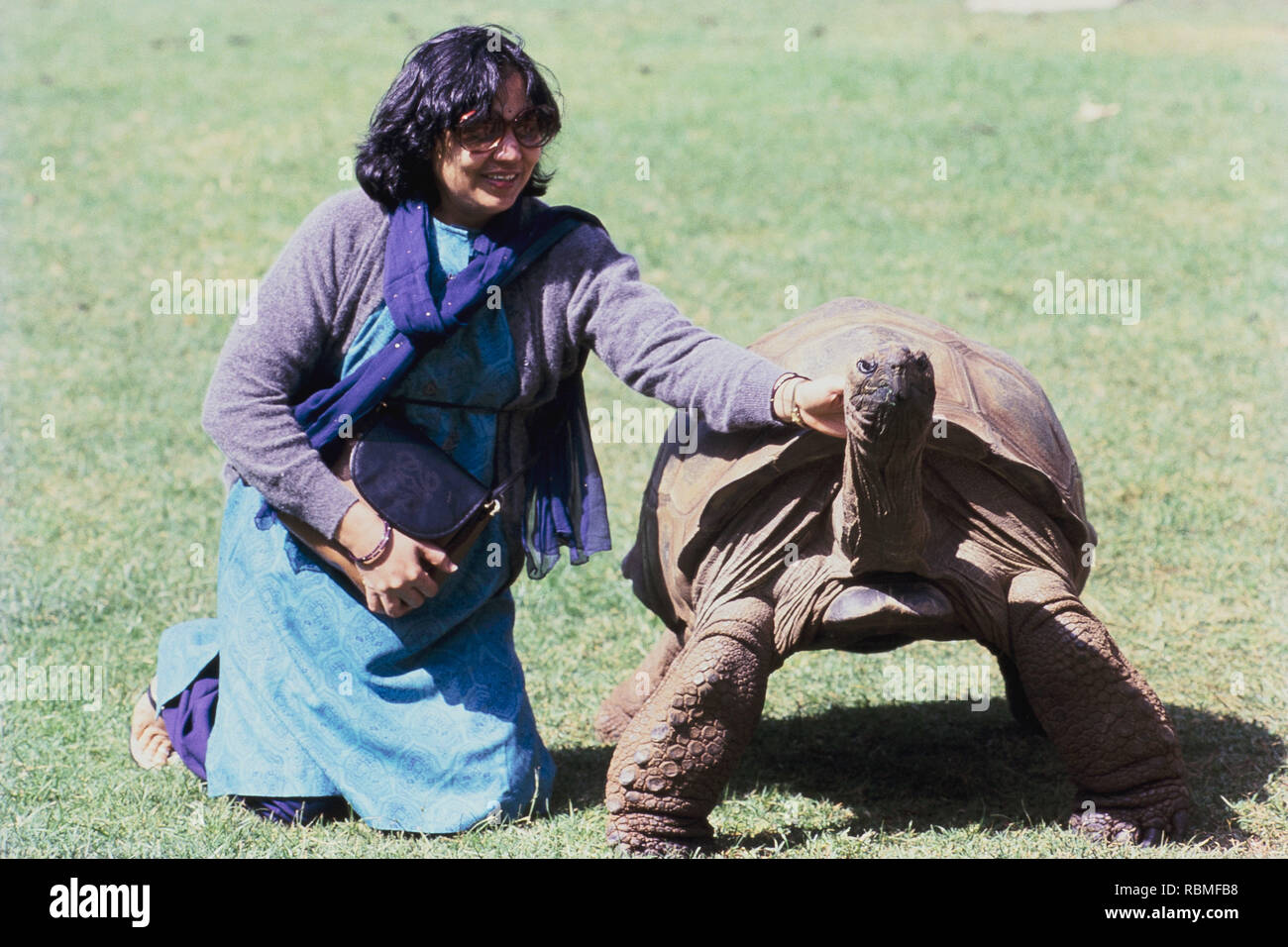 Woman touching giant tortoise hi-res stock photography and images - Alamy