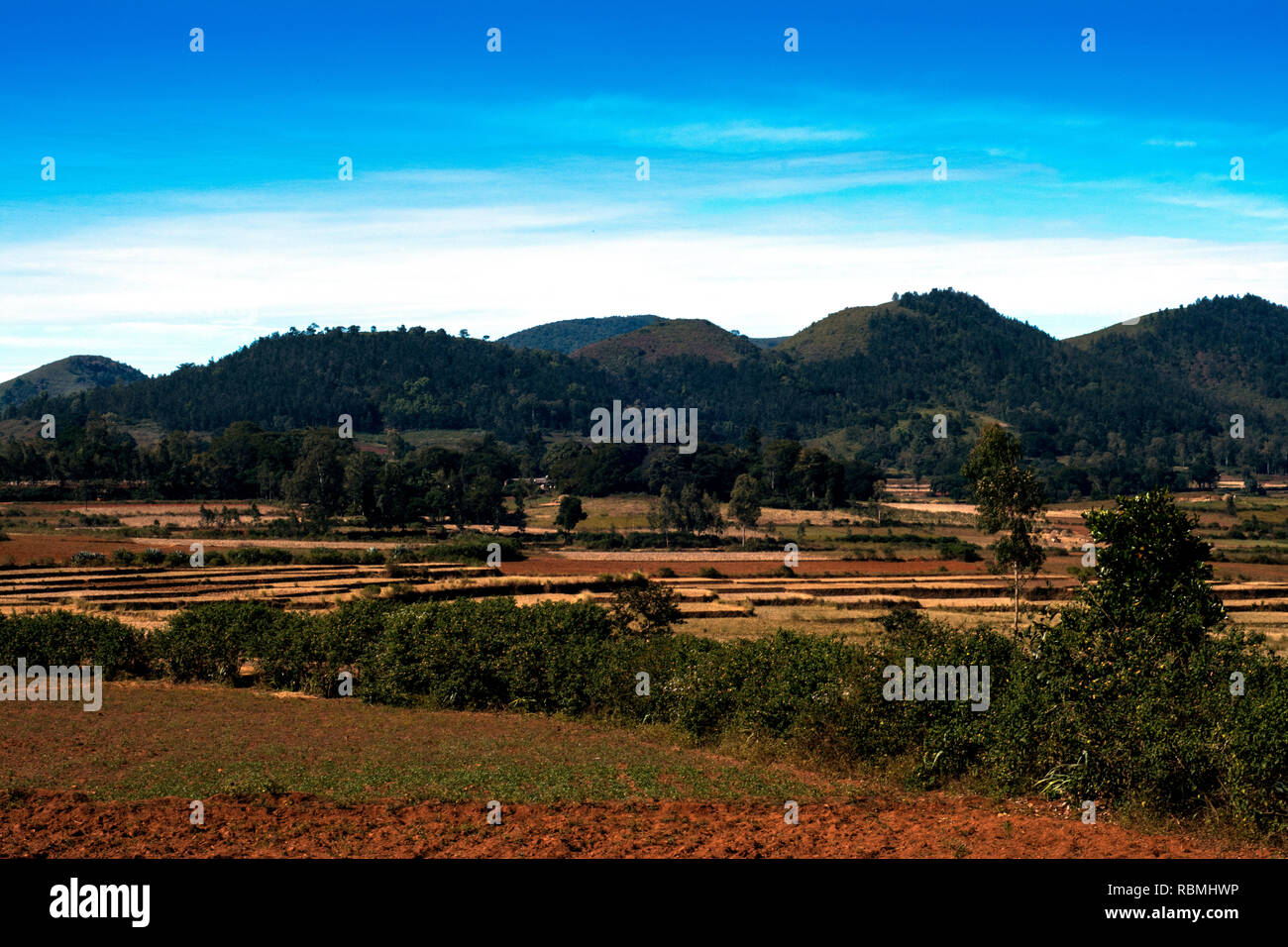 Landscape, Araku, Andhra pradesh, India, Asia Stock Photo - Alamy