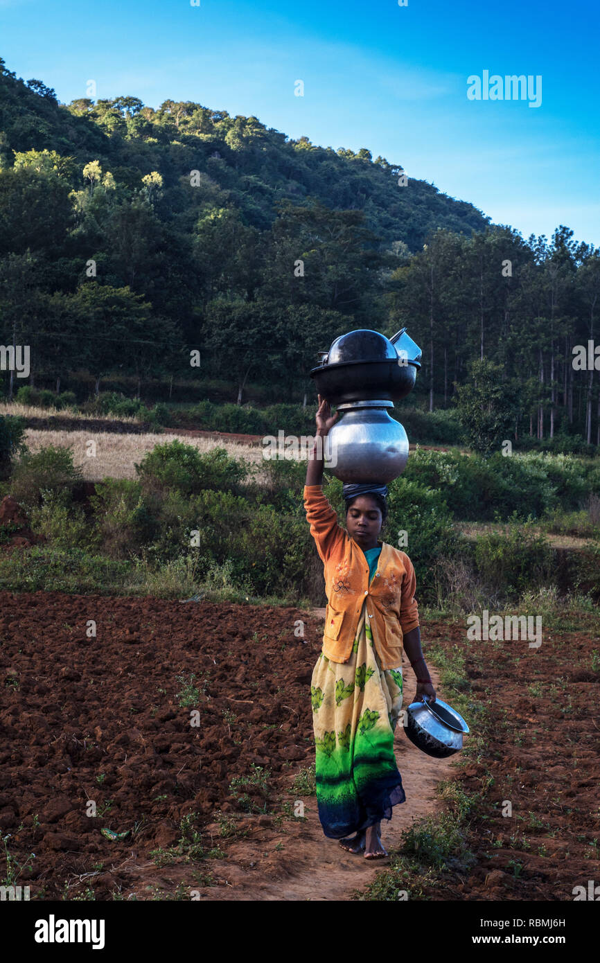 Indian woman holding water pot hi-res stock photography and images - Alamy