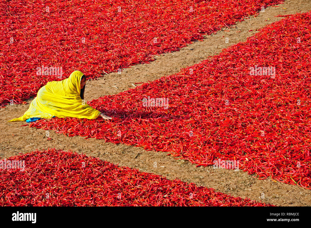 Sar 264302 hi-res stock photography and images - Alamy