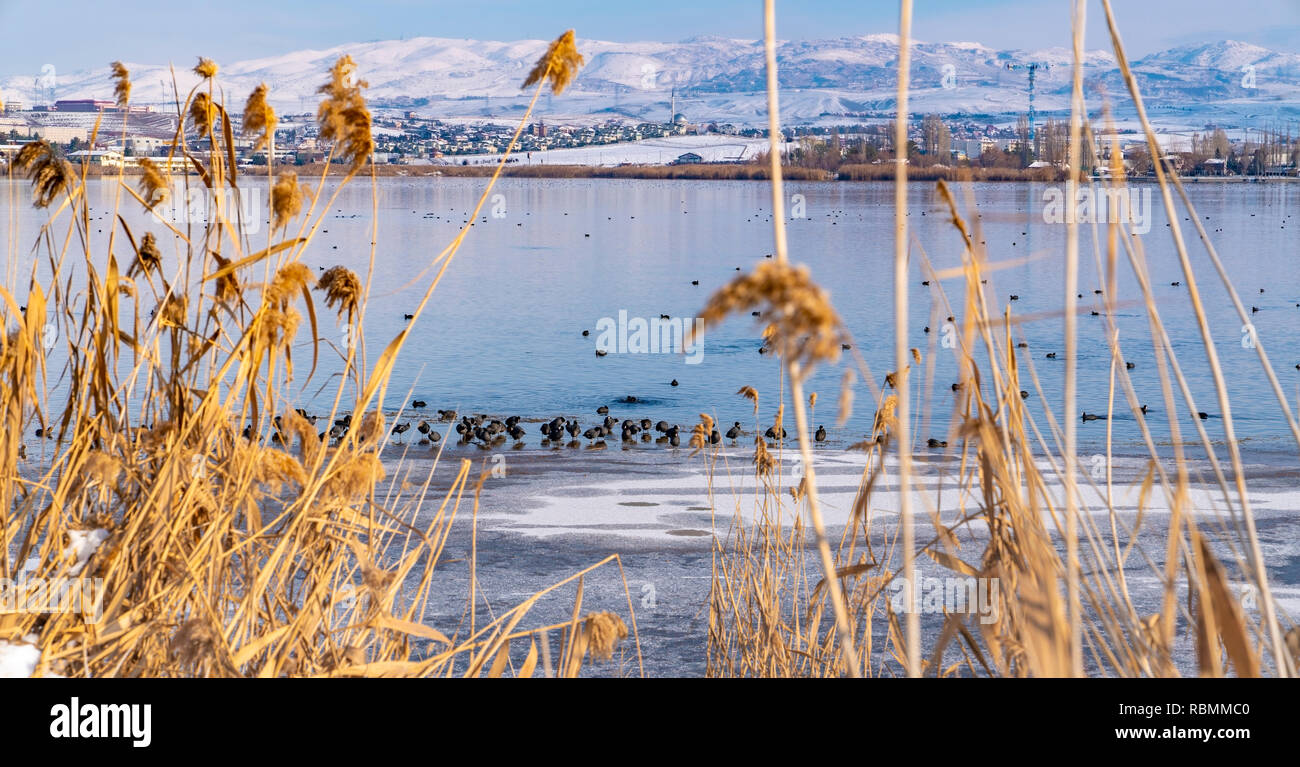 Lake mogan golbasi city hi-res stock photography and images - Alamy