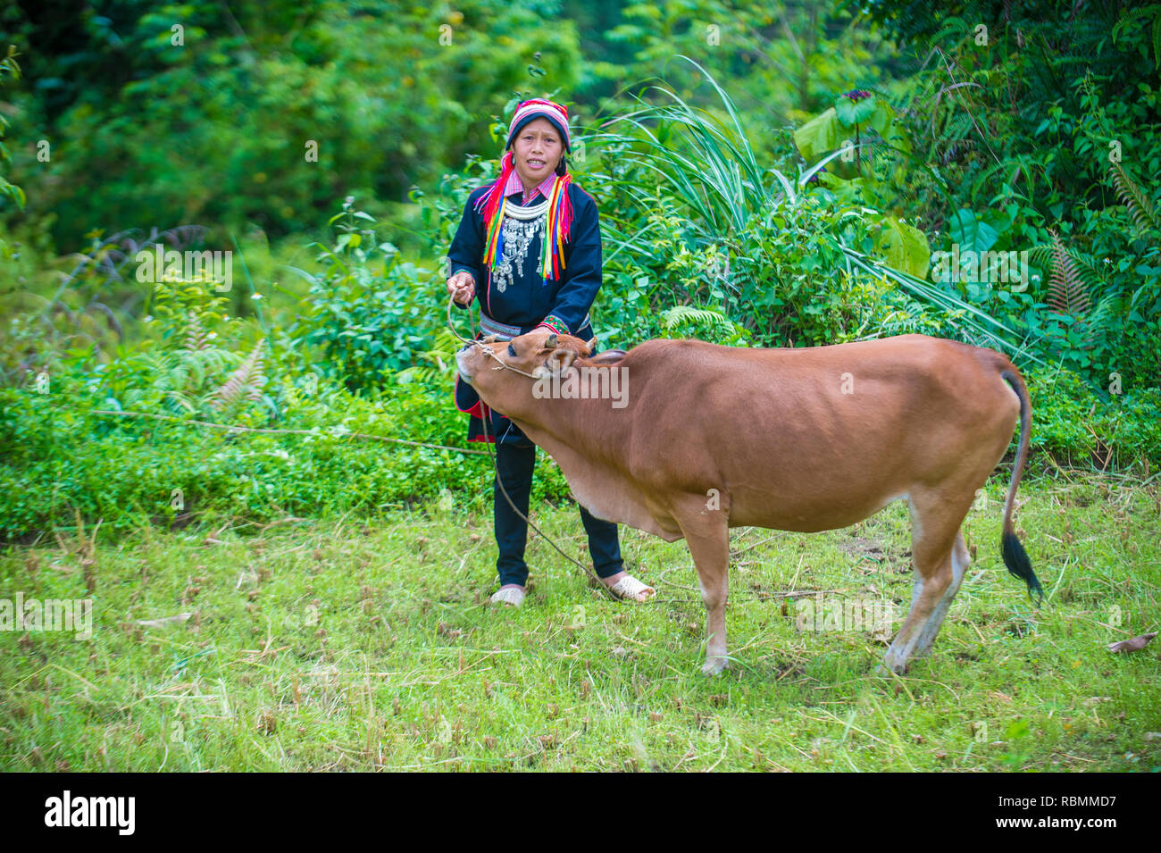 Female Red Dao Woman High Resolution Stock Photography and Images - Alamy