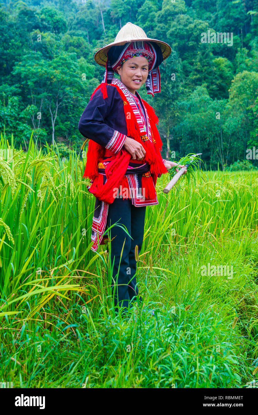 Female red dao woman hi-res stock photography and images - Alamy