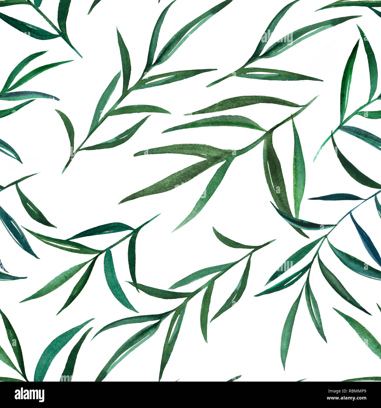 2d hand drawn watercolor seamless background. Colorful yucca or laurus ...