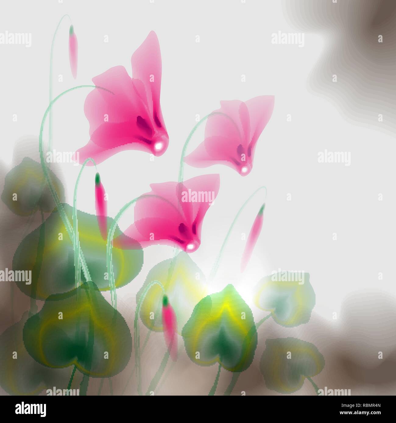 Vector illustration of cyclamen flowers. Cyclamen ink effect ...