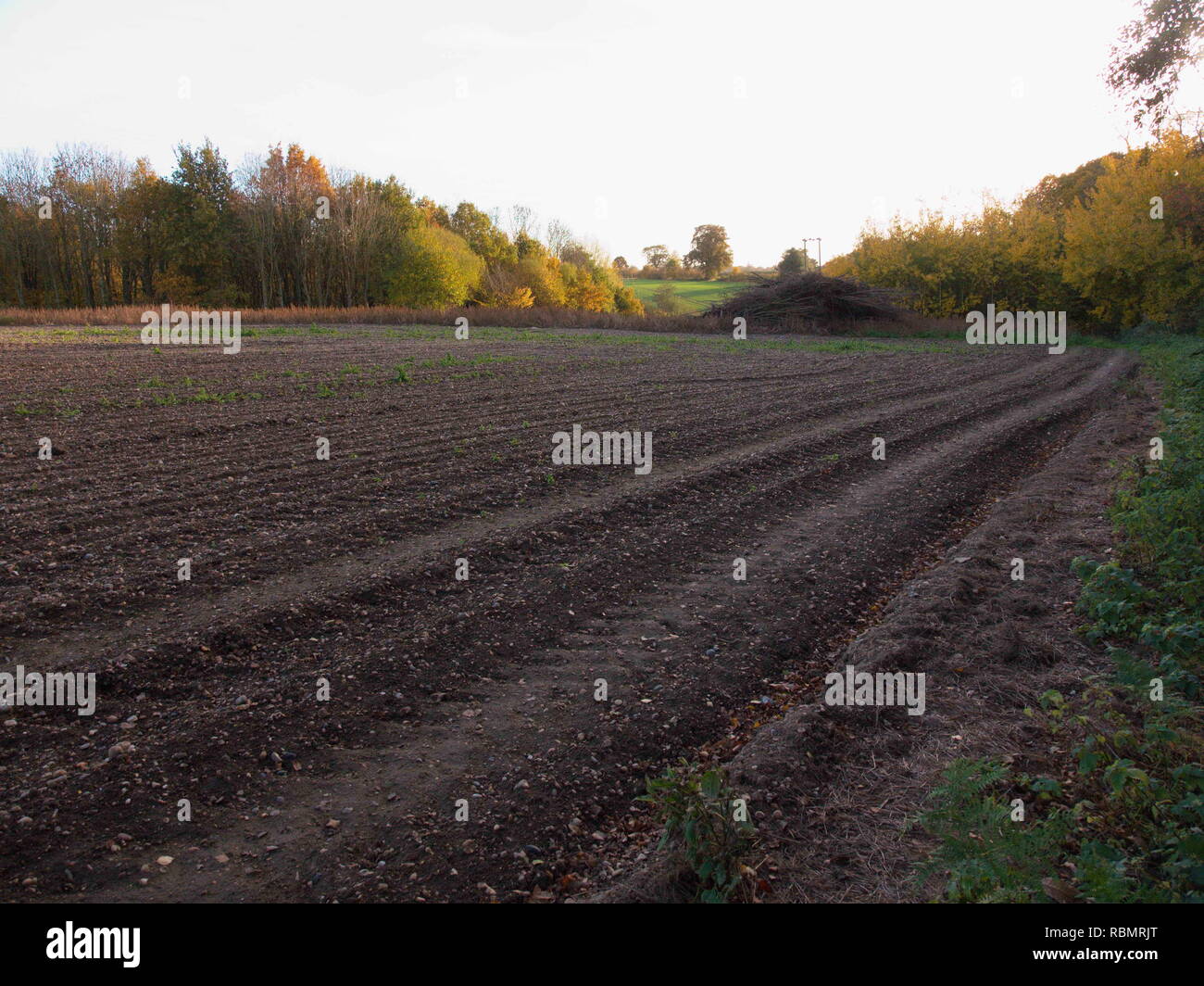 Open ploughed space field outside in autumn low light no people Stock ...