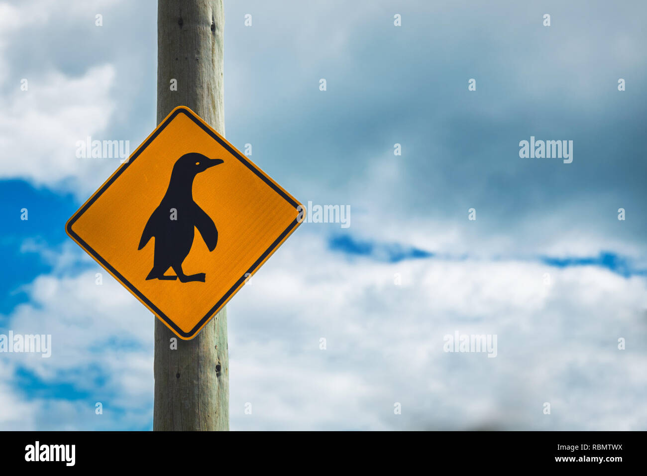 Penguin sign in new zealand hi-res stock photography and images - Alamy