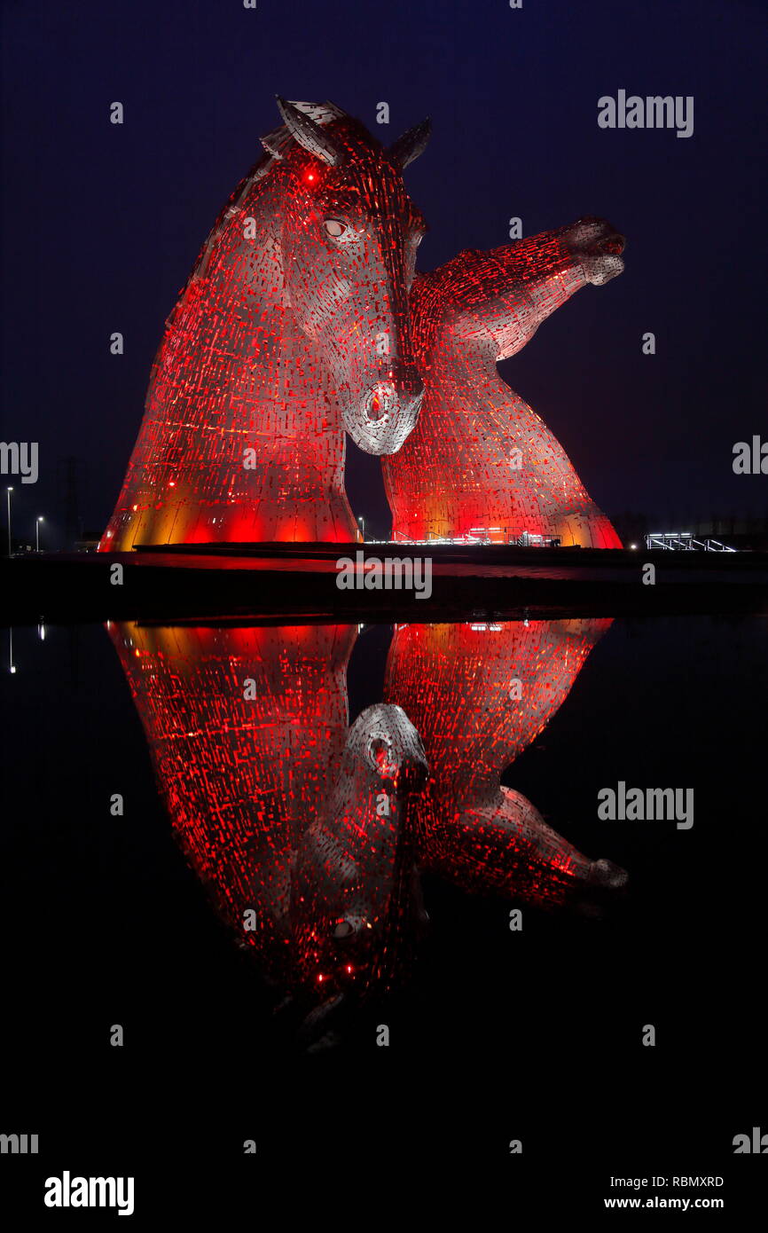 Red kelpie hi-res stock photography and images - Alamy