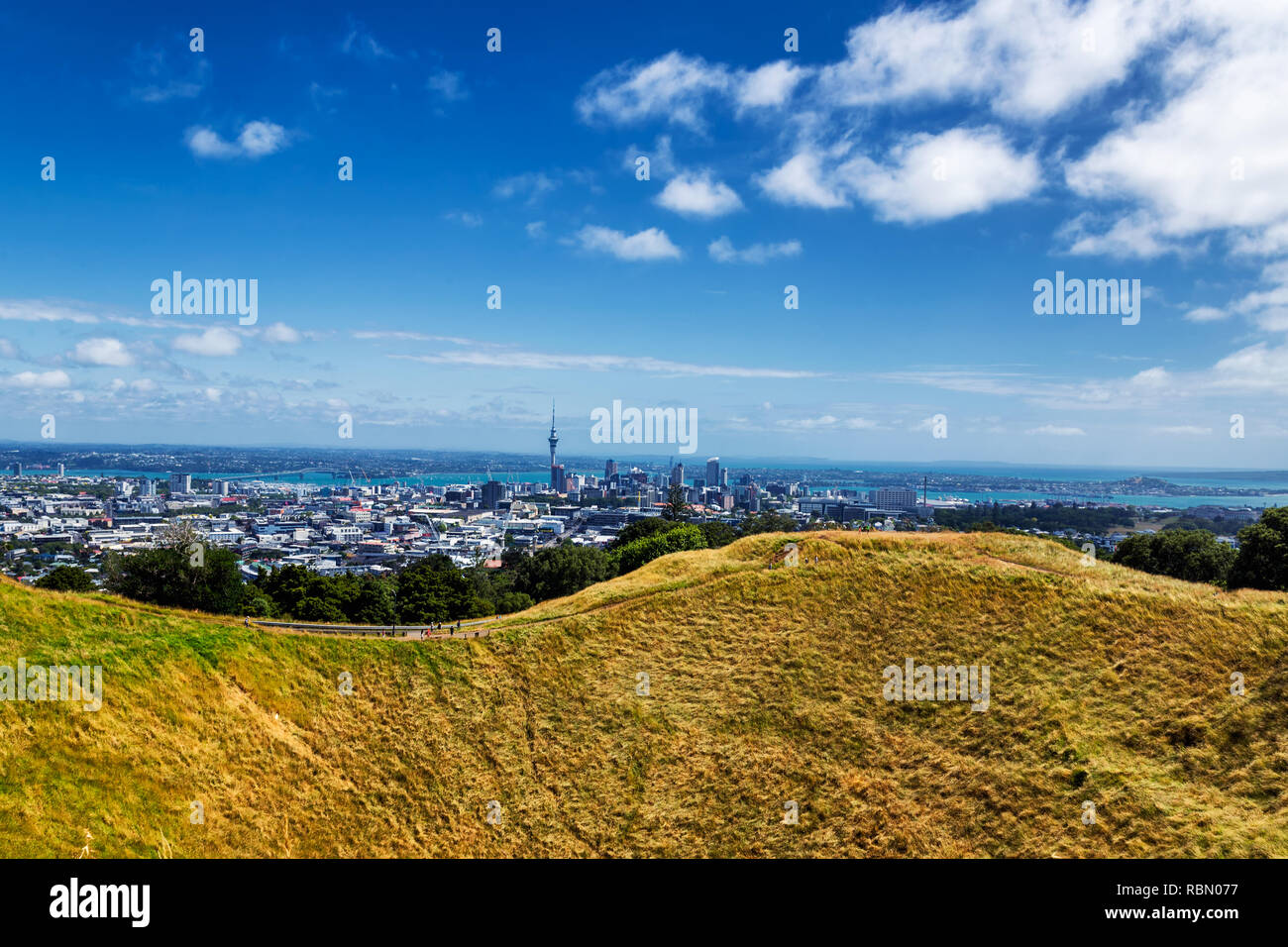 Mount eden crater new zealand hi-res stock photography and images - Alamy
