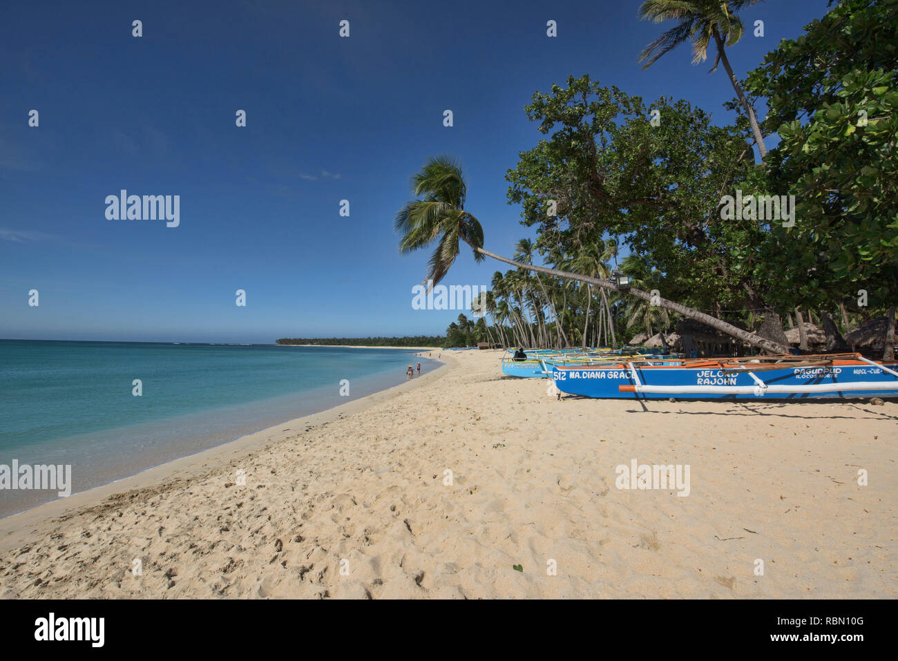 Palm trees luzon philippines hi-res stock photography and images - Alamy