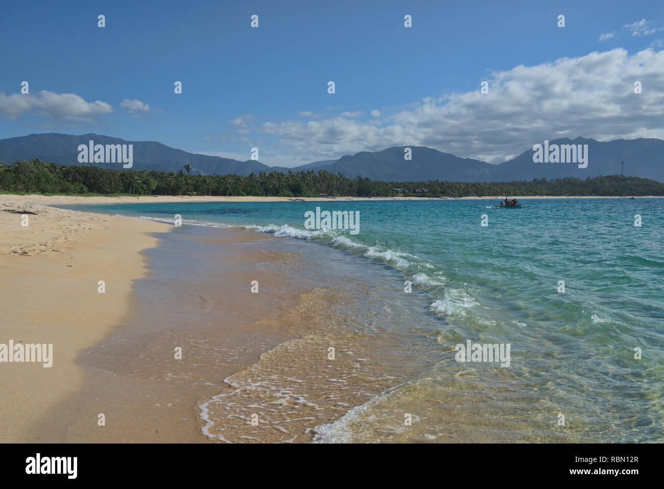 Palm trees luzon philippines hi-res stock photography and images - Alamy